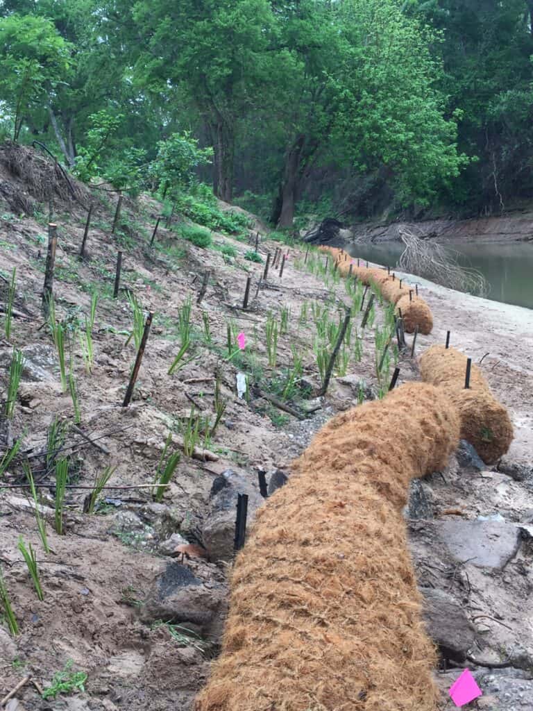 Stream Bank Restoration by SK Farm LLC #1 Best